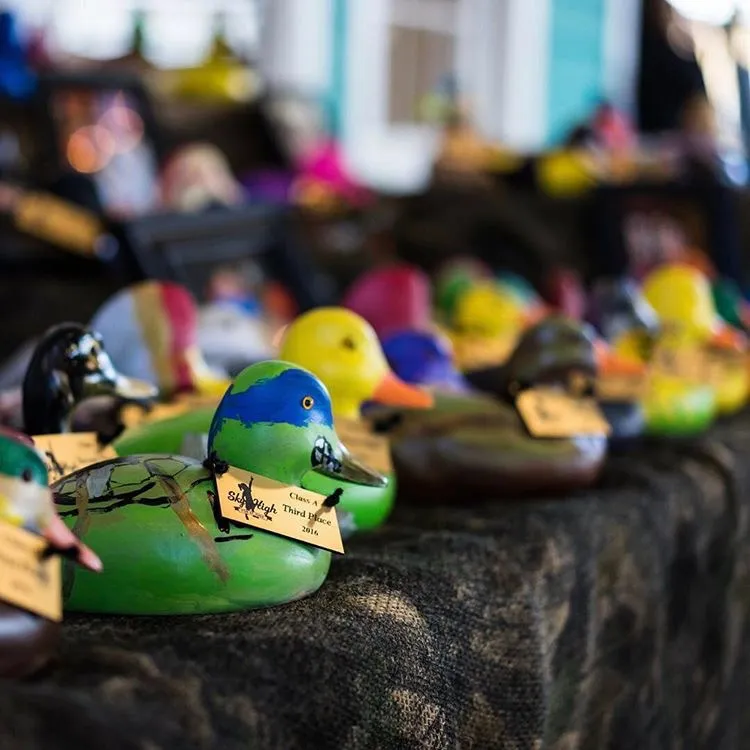 Sky High for St. Jude's 2017 Houston Concert & Sporting Clay Shoot - DESCO Environmental ...